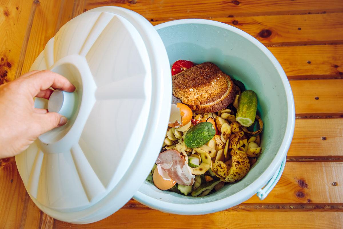 City provides free kitchen compost pail to help with food waste recycling