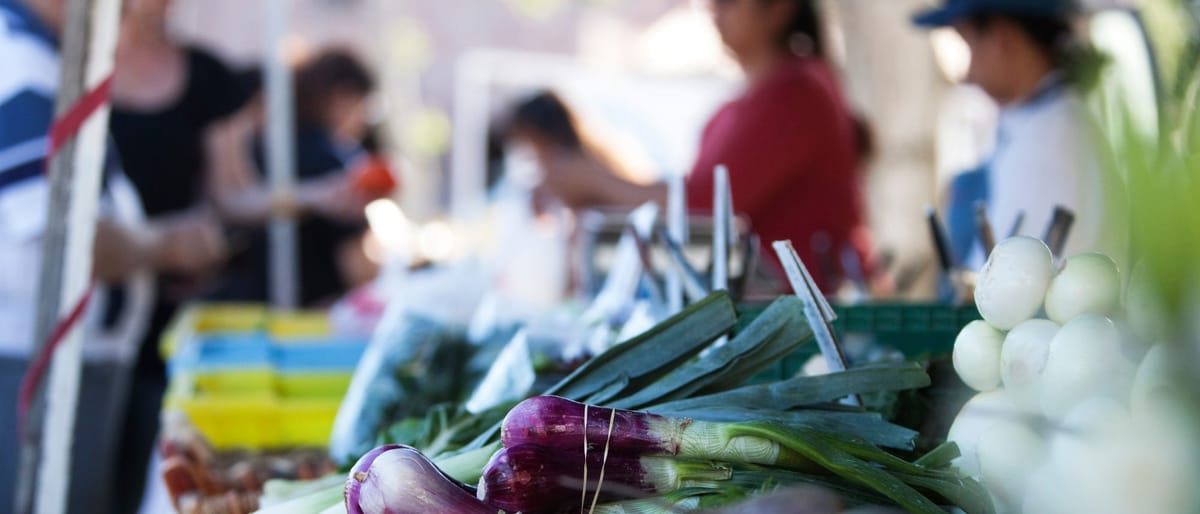 Downtown Morning Market to remain on State Street