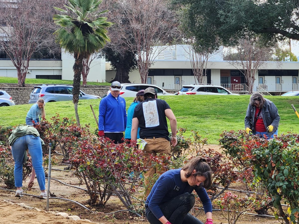 Hundreds gather for Redlands Community Day of Service to beautify ...