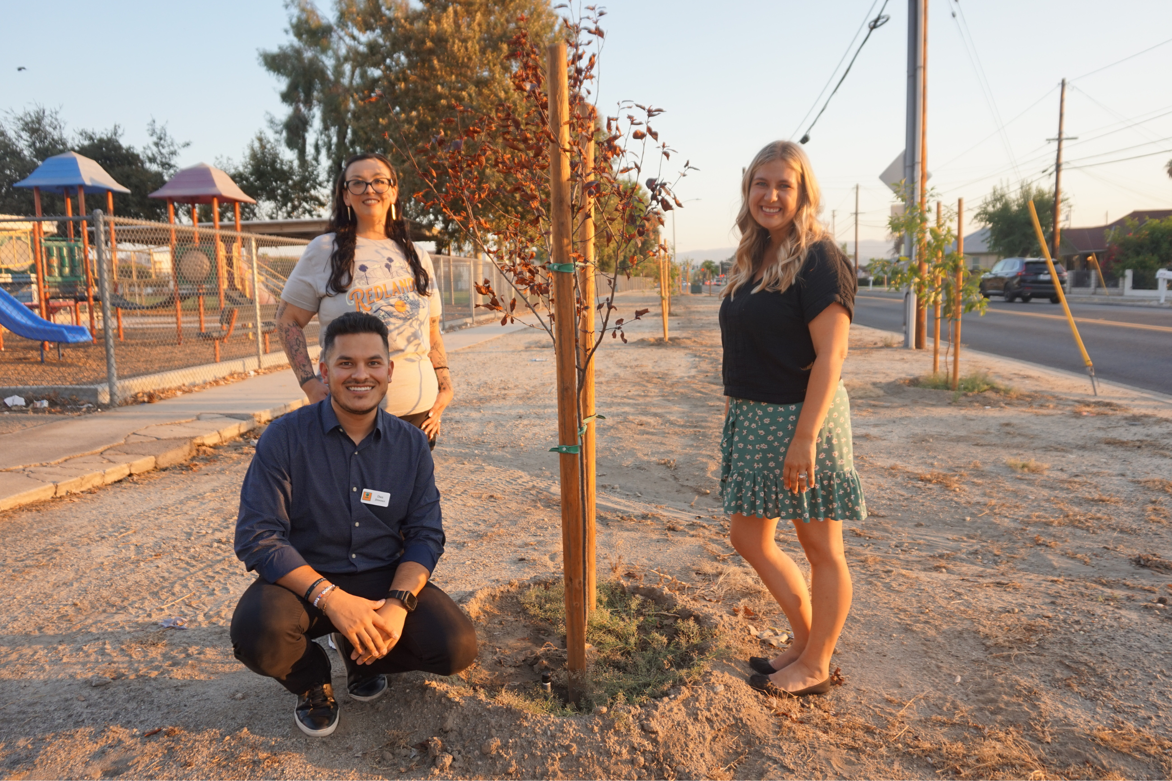 New trees and painted utility boxes part of Leadership Redlands ...
