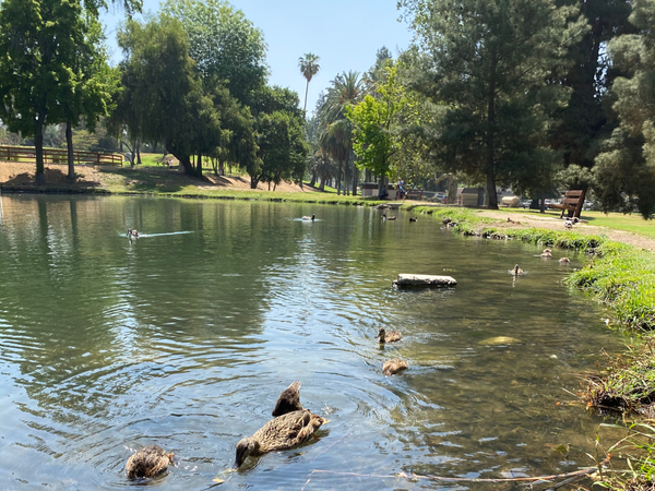 Redlands Parks Master Plan moves forward
